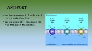 Drug absorption | PDF