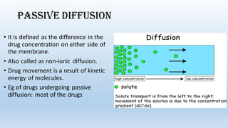 Drug absorption | PDF