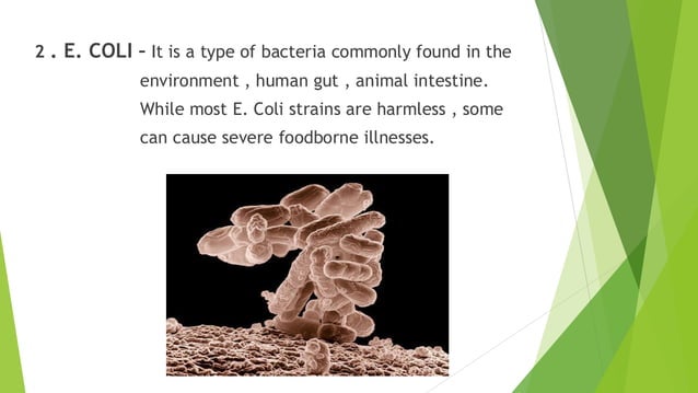 Ensuring Food Safety and pathogens , hazards | PPT