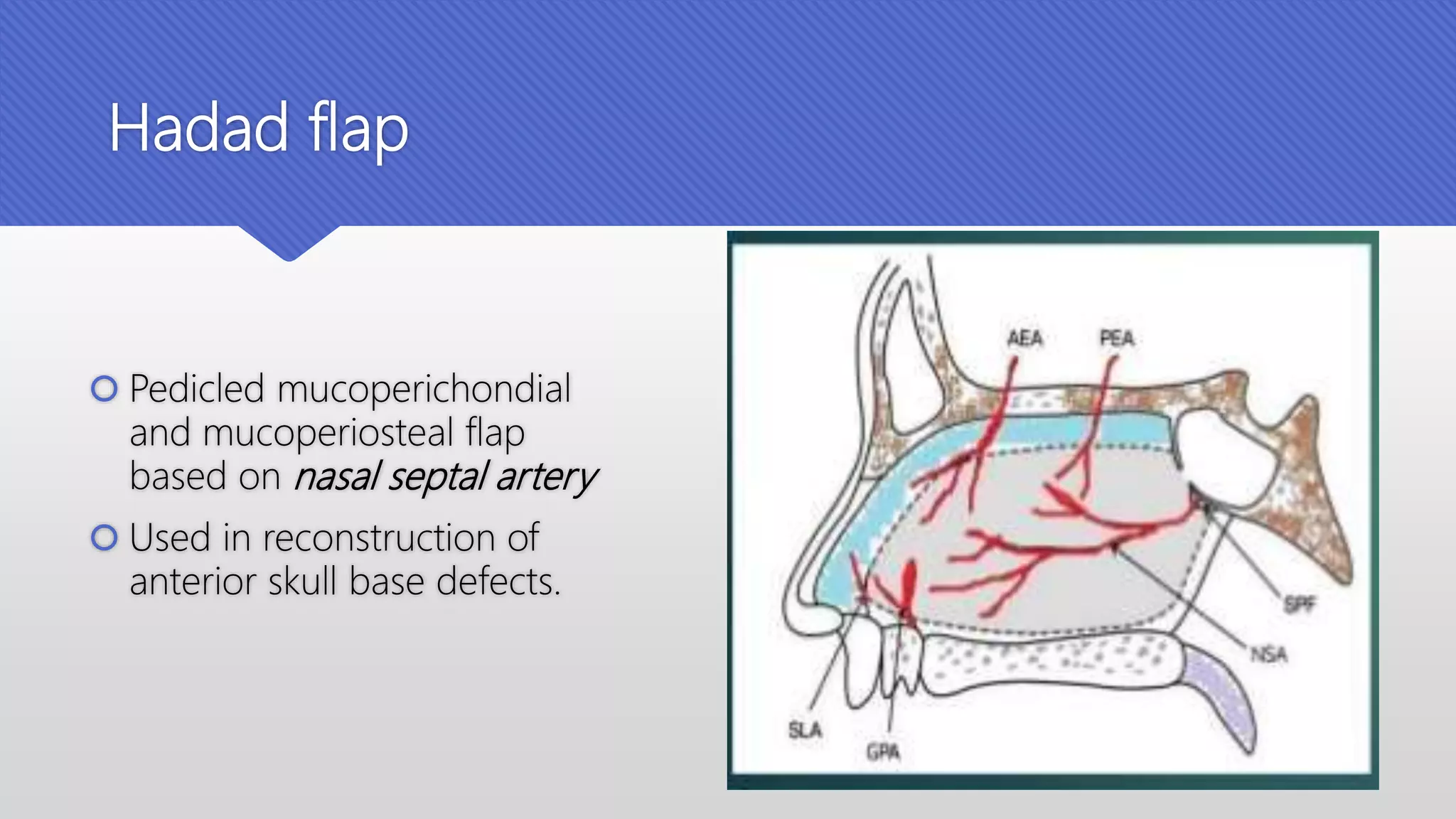 Grafts and flaps in head and neck | PPTX | First Aid | Injuries