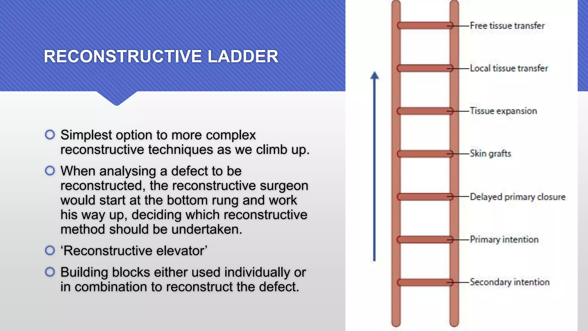 Grafts and flaps in head and neck | PPTX