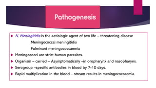 Neisseria meningitidis : Medical bacteriology ppt | PDF