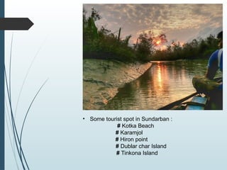 Sundarban 'The Largest Mangrove Forest' .pptx