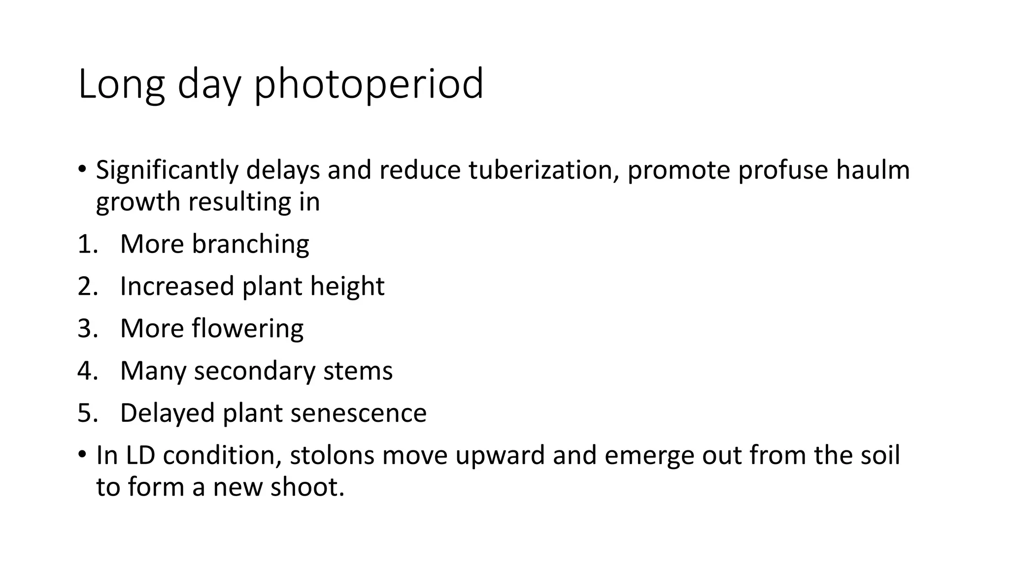 Tuberization in Potato | PPTX