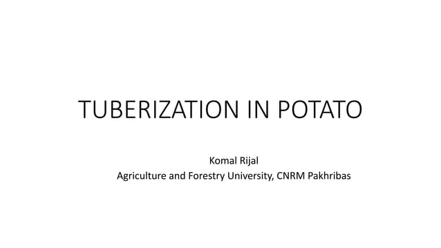 Tuberization in Potato | PPTX | Gardening | Home & Garden