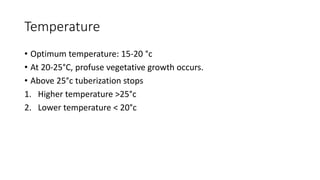 Tuberization in Potato | PPTX