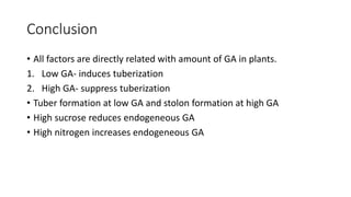 Tuberization in Potato | PPTX