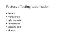 Tuberization in Potato | PPTX
