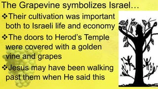 I am the true vine | PPTX