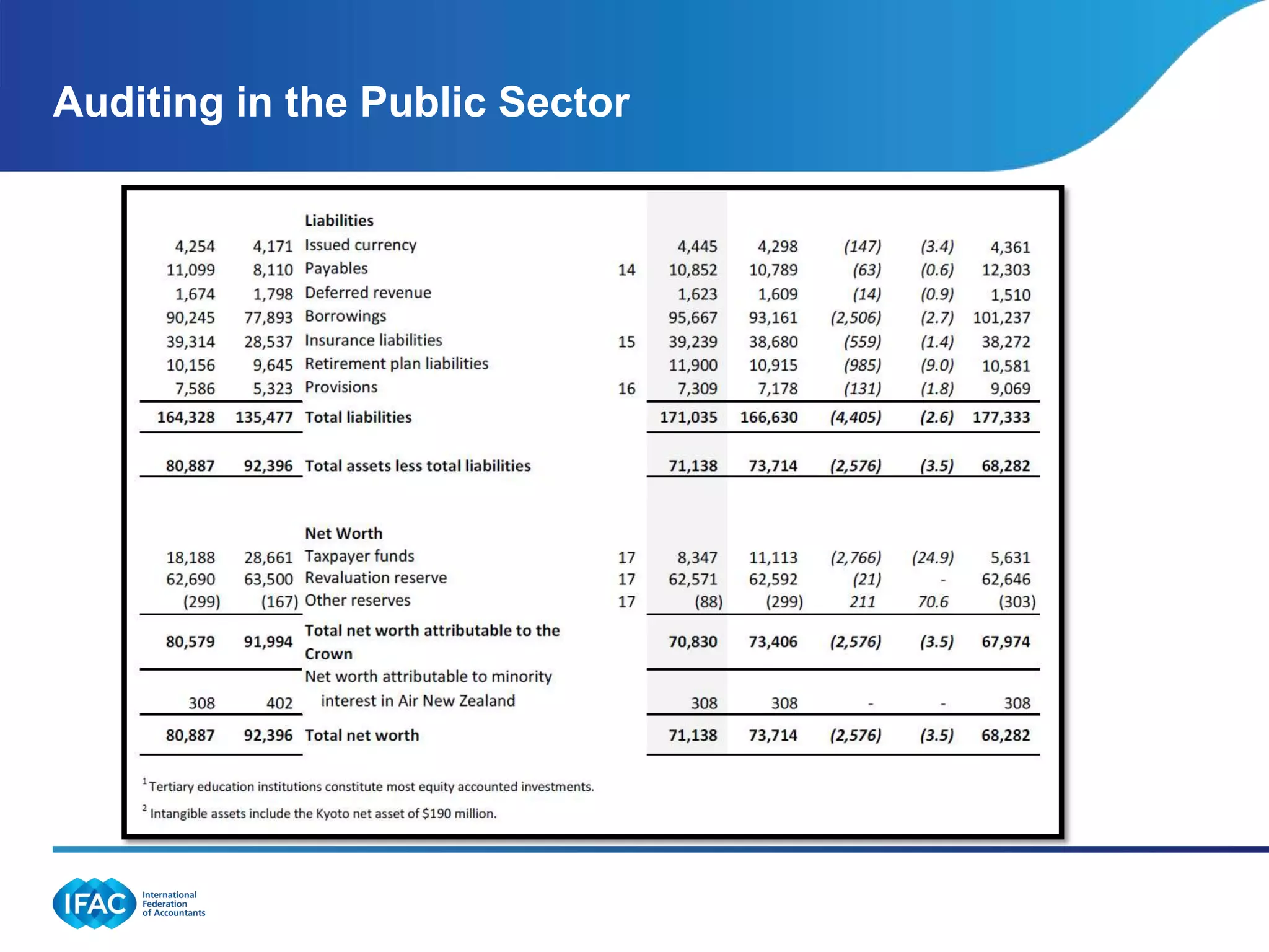 Auditing in the Public Sector | PPTX