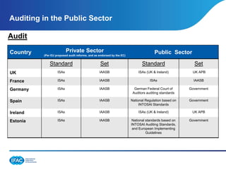 Auditing in the Public Sector | PPTX