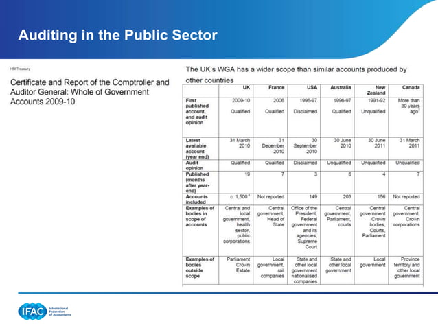Auditing in the Public Sector | PPTX