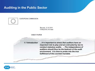 Auditing in the Public Sector | PPTX