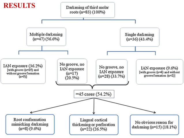 inferior alveolar nerve in opg | PPTX
