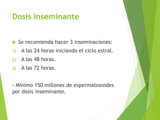 Inseminación Artificial en Perros y Gatos | PPTX