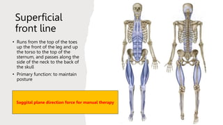 Fascia & Manual Therapy.pptx