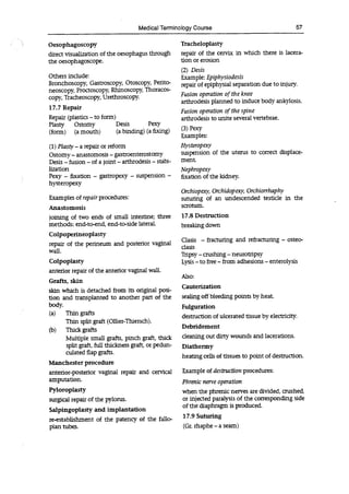 IARC_Technical_Report_No10-9.pdf eyes is | PDF