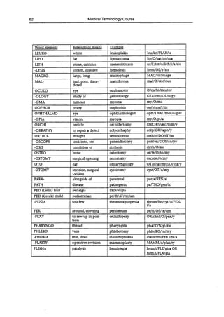IARC_Technical_Report_No10-9.pdf eyes is | PDF