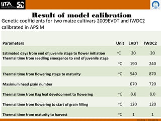 Understanding the response of drought-tolerant maize varieties to ...