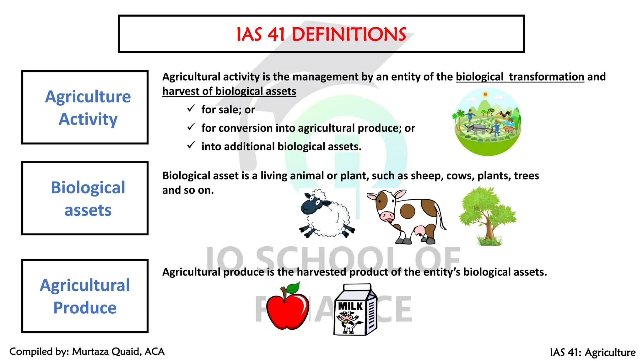 IAS 41 - Presentations.pdf for accouning purpose | PDF