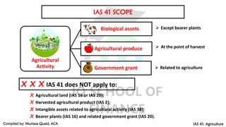 IAS 41 - Presentations.pdf for accouning purpose | PDF | Agriculture ...