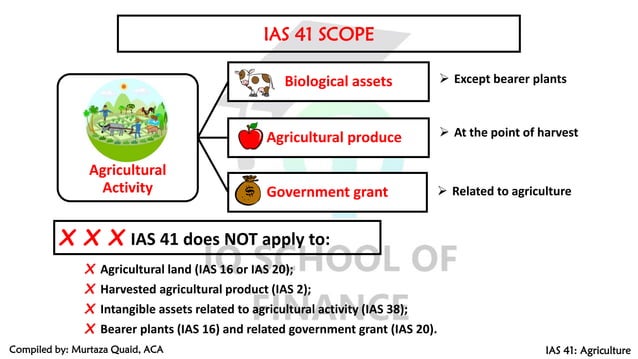 IAS 41 - Presentations.pdf for accouning purpose | PDF | Agriculture ...