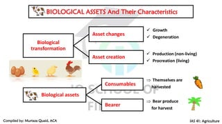 IAS 41 - Presentations.pdf for accouning purpose | PDF | Agriculture ...