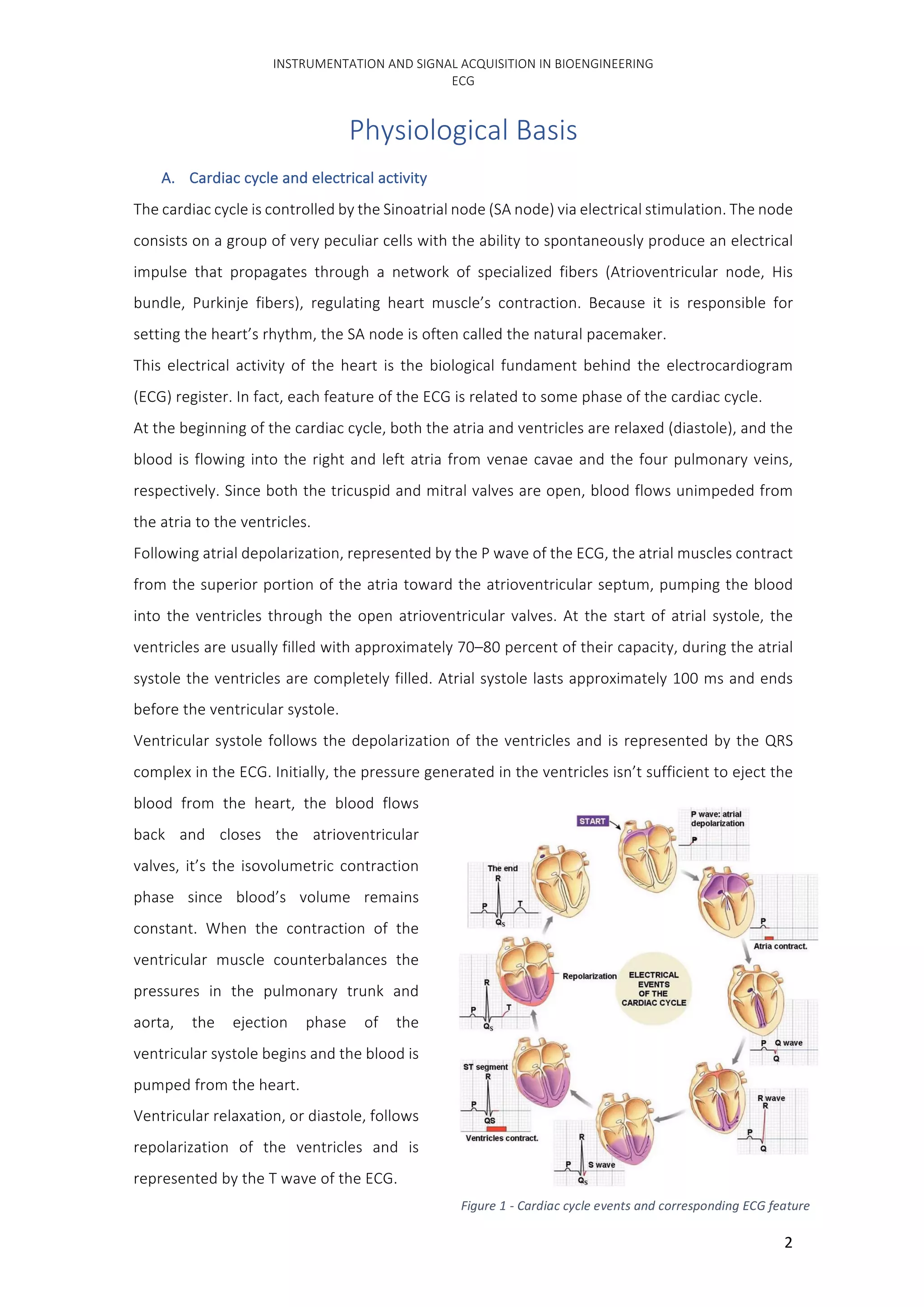How to Build an ECG | PDF