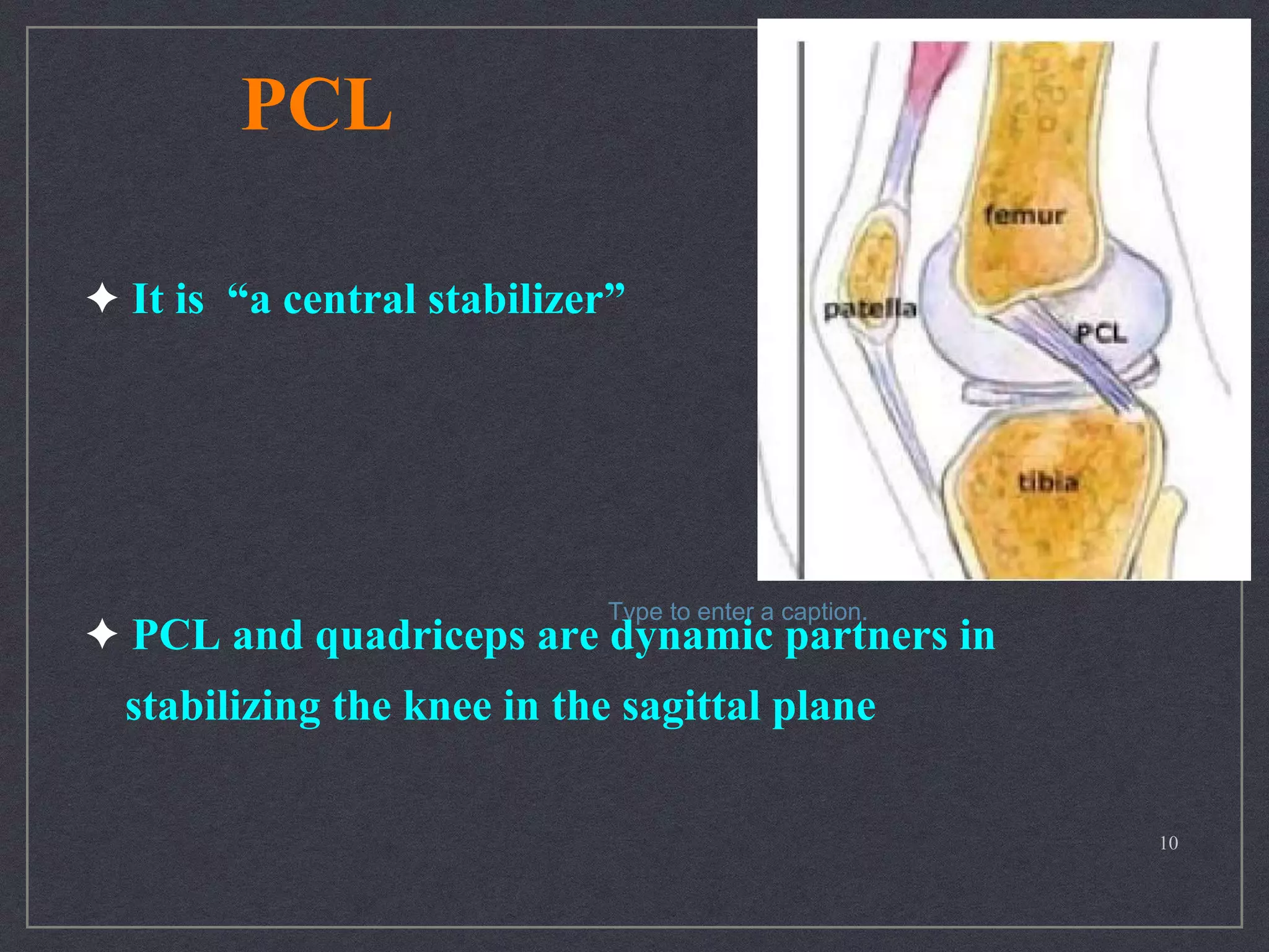 PCL Posterior Cruciate Ligament Knee Injury: Is it Benign I Dr.RAJAT ...