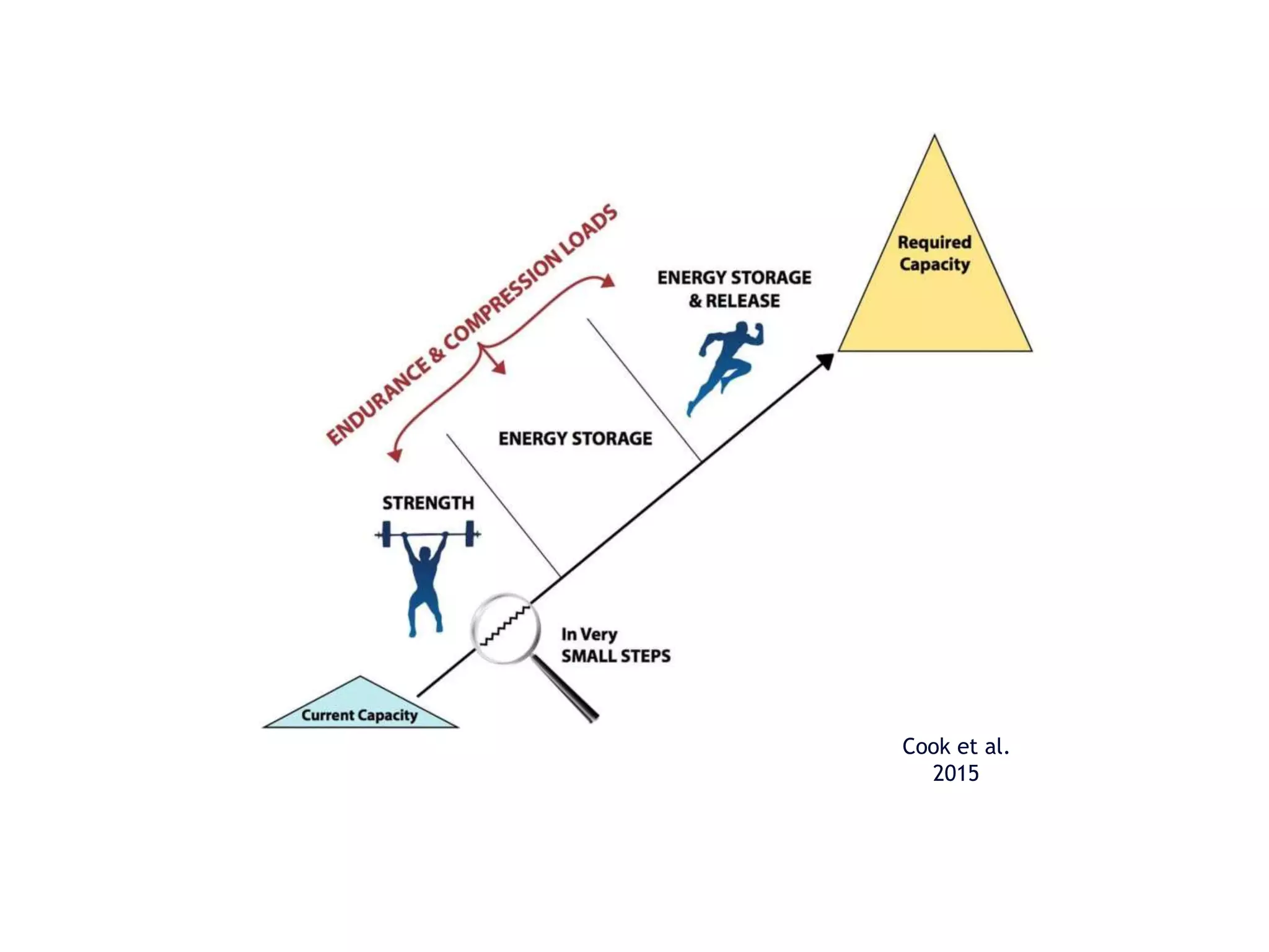 Treatment options of Tendinopathy in Athletes: Tendon Overload I Dr ...