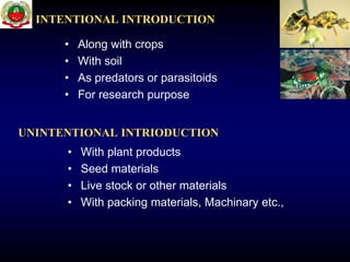 Ias pest mohammed faisal | PPT | Free Download