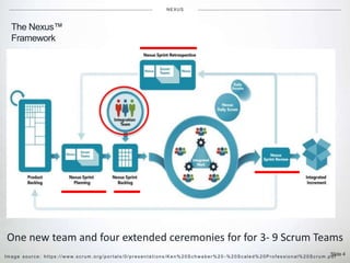 Nexus - Scaled Professional Scrum - An introduction | PPTX