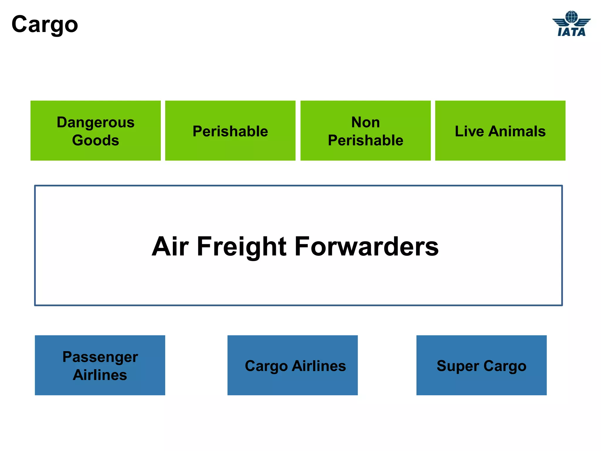 Introduction to Airline Industry | PDF