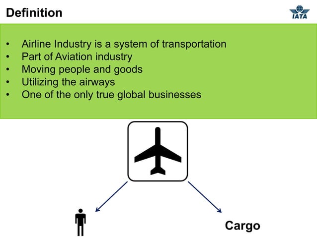 Introduction to Airline Industry | PDF