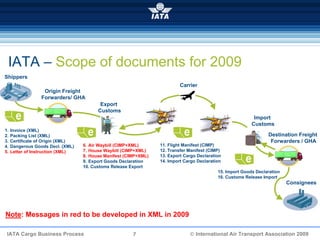 Iata Cargo Xml Electronic Messages Approach V0.4 | PDF