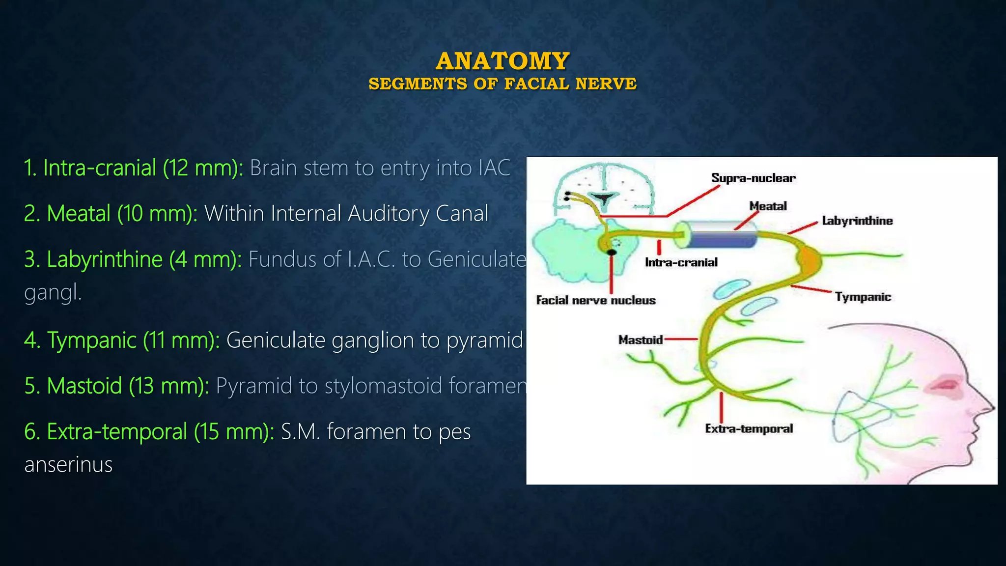 Iatrogenic facial nerve injury | PPTX