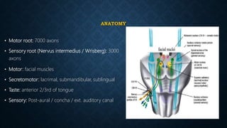 Iatrogenic facial nerve injury | PPTX