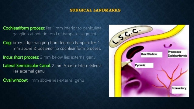 Iatrogenic facial nerve injury