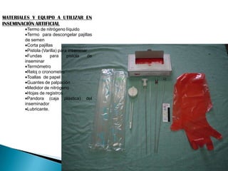 Inseminación Artificial | PPTX