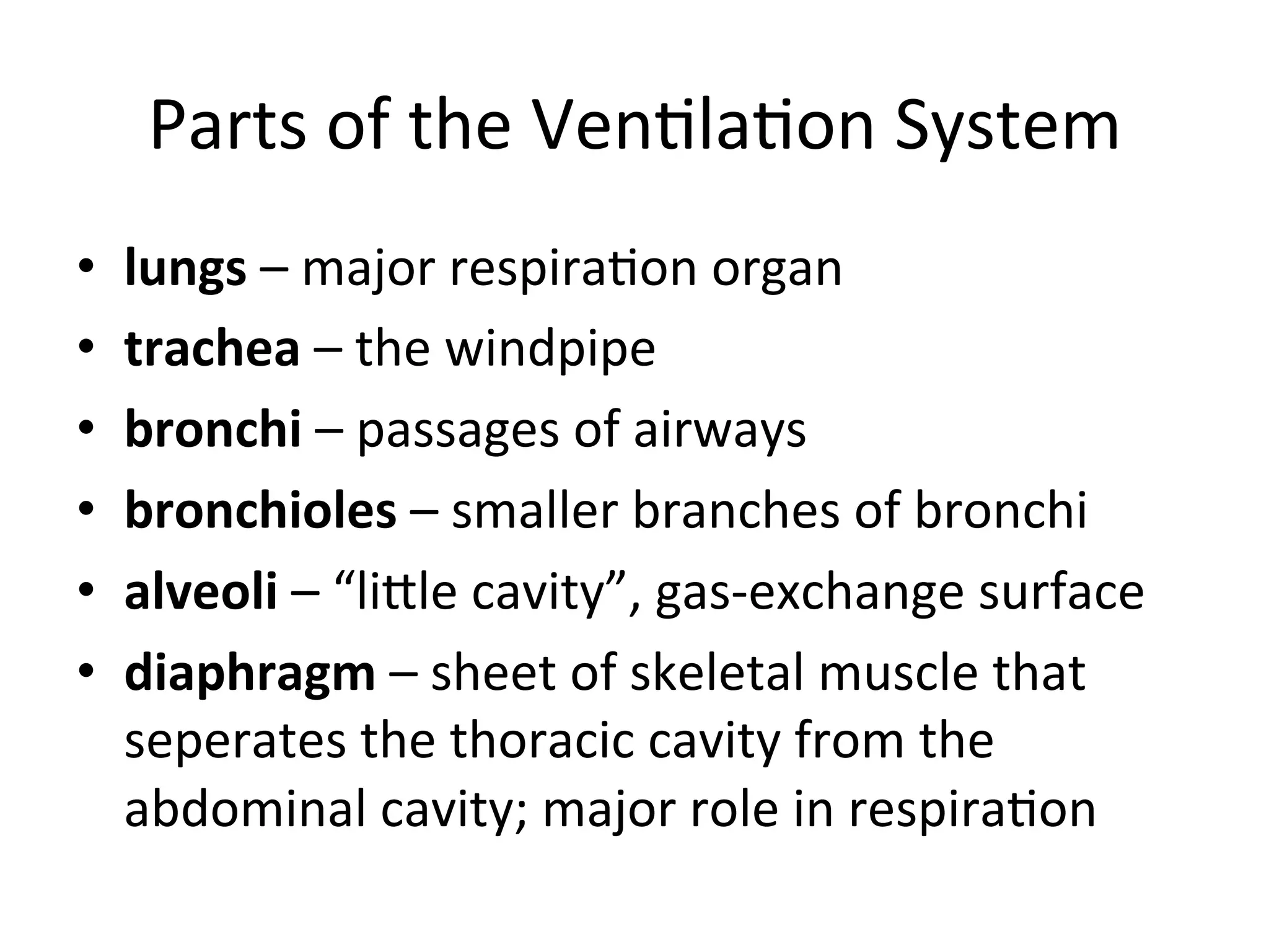 CAS IB Biology 6.4 Gas Exchange | PPT
