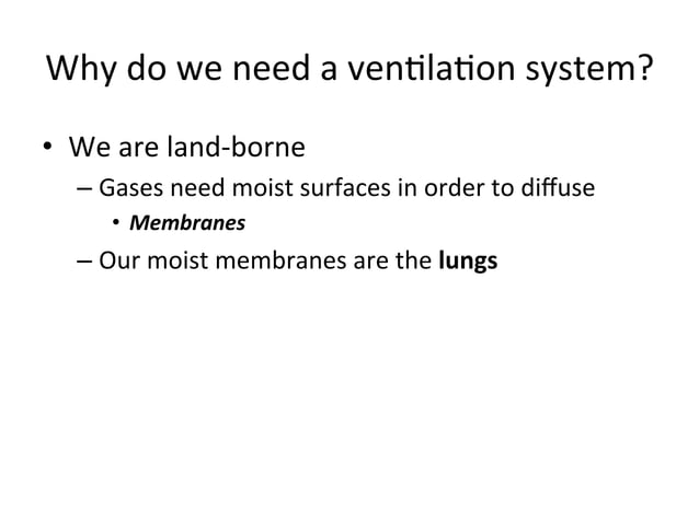 CAS IB Biology 6.4 Gas Exchange | PPT