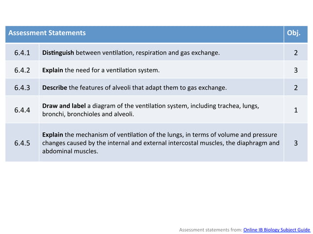 CAS IB Biology 6.4 Gas Exchange | PPT