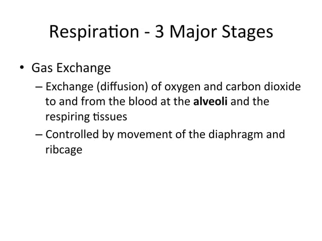 CAS IB Biology 6.4 Gas Exchange | PPT