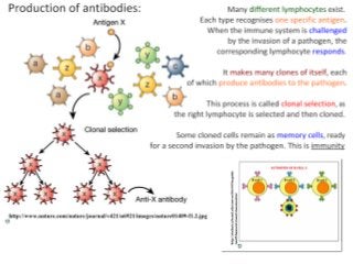 CAS IB Biology 6.3 Defense Against Infectious Disease (Part 1) | PPT