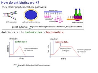 CAS IB Biology 6.3 Defense Against Infectious Disease (Part 2) | PPT