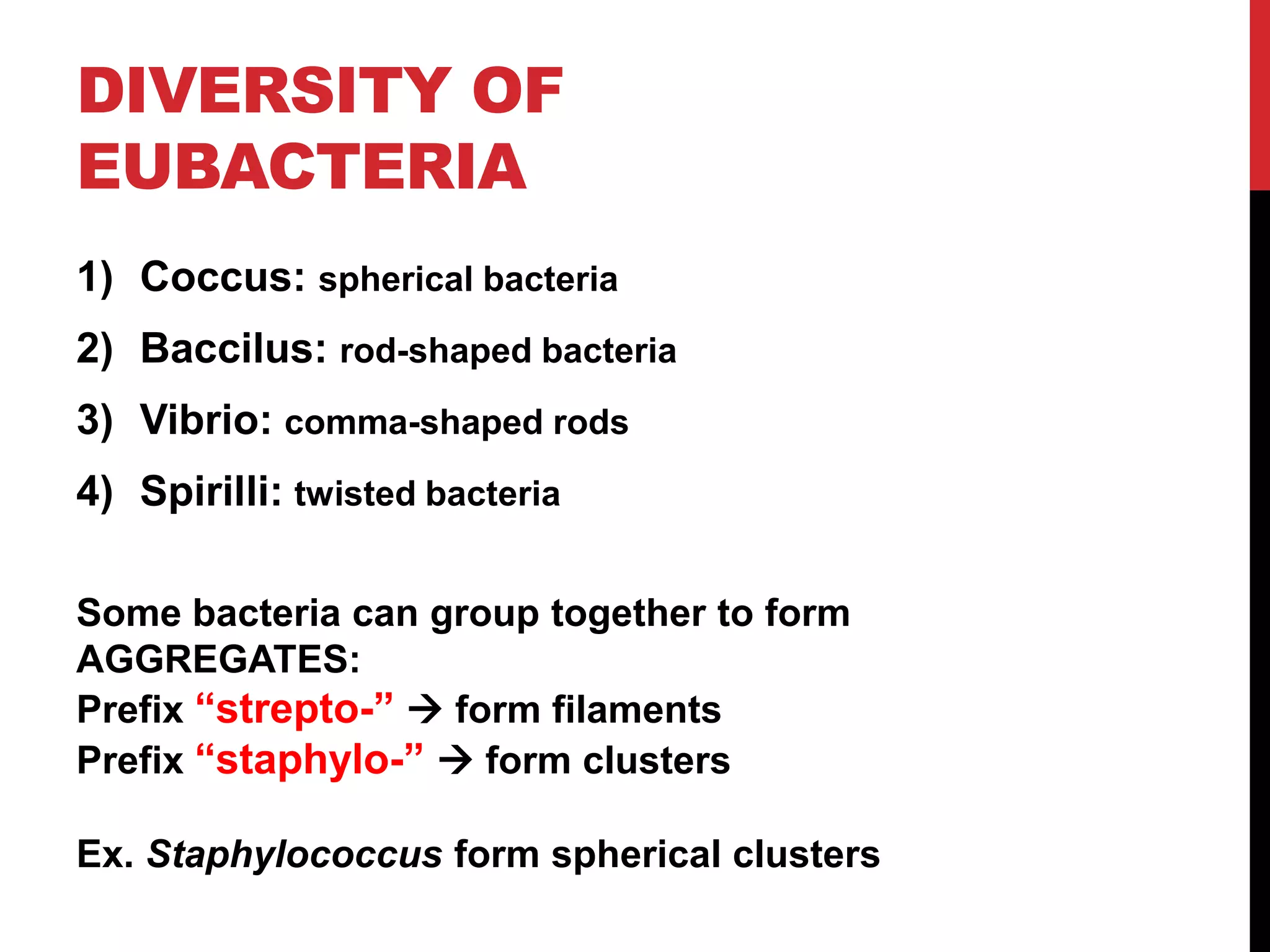 CAS Biology Option F: Classifying Microbes | PPTX