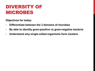 CAS Biology Option F: Classifying Microbes | PPTX