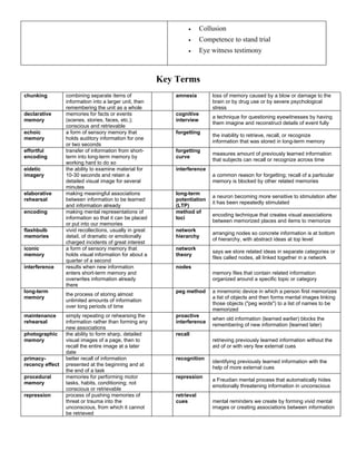 IB Cognitive Perspective Review | DOC