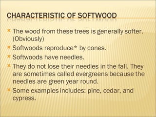 Ib Dt Pp Timber 4.3 | PPT | Woodworking | Arts and Crafts