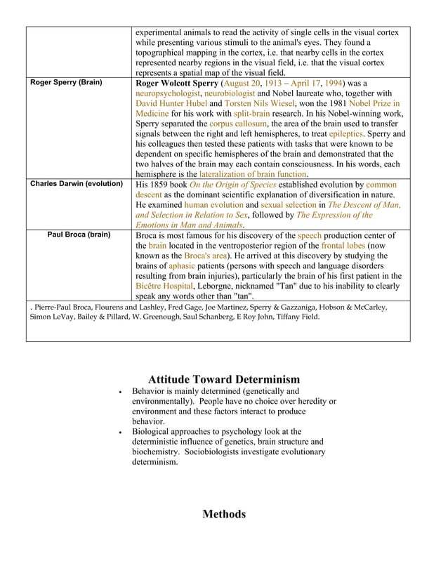 IB Biological Perspective Review | PDF